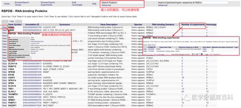 RNA结合蛋白数据库 腾讯云开发者社区 腾讯云