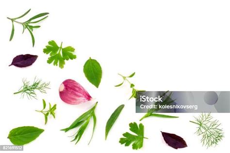 신선한 향미료 그리고 나물 흰색 배경에 고립입니다 딜 양 미나리 향미료 백 리 향 Tarhun 마늘입니다 상위 뷰 Dz51에 대한 스톡 사진 및 기타 이미지 Istock
