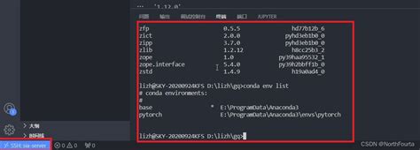 Vscode配制jupyter远程开发环境 Csdn博客