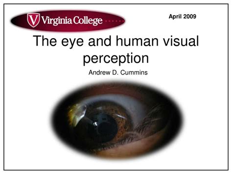Ppt The Eye And Human Visual Perception Powerpoint Presentation Free Download Id 6332793