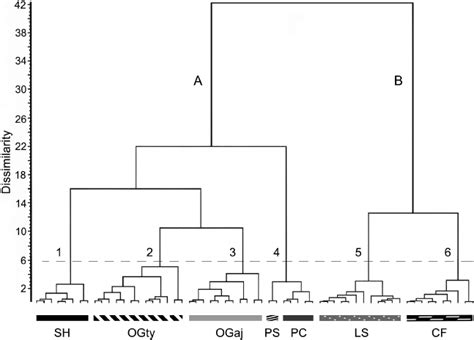 classification dendrogram of phytosociological relev ́s by incremental