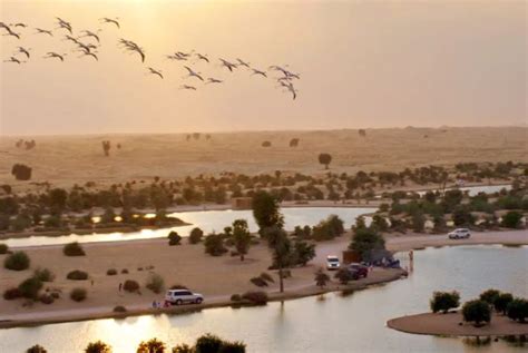 5 Best Camping Spots In The Uae To Head To For An Unforgettable Outdoor