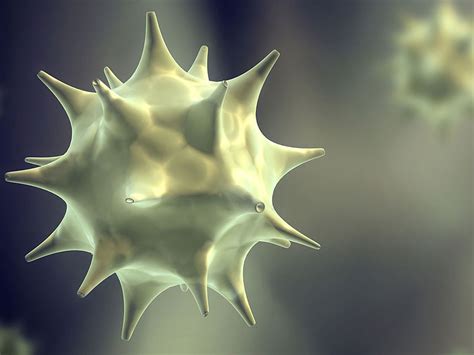 Cleaning Up The Coatings Industry With New Anti Microbial Technology