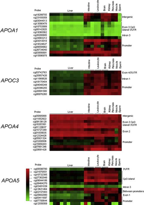 Heat Maps In 51 Probes From Illumina Infinium Humanmethylation450