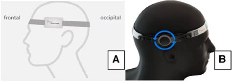 A Sensor Placement B Rack Adjustment Download Scientific Diagram