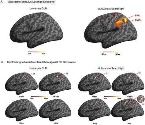 Summary Of The Analysis A In The Stimulated Finger Decoding