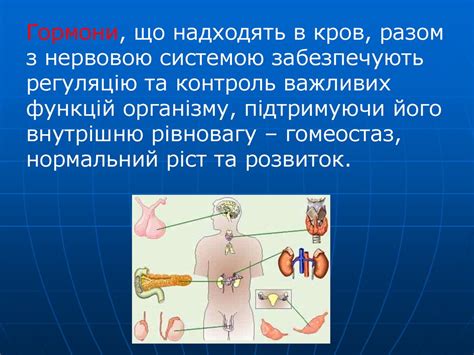 Ендокринна система презентация онлайн
