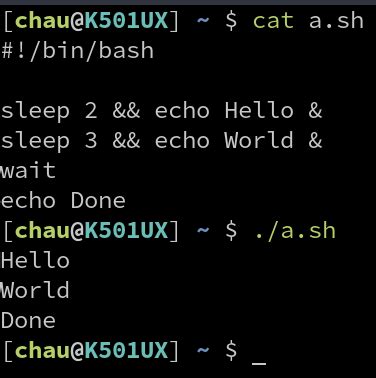 A Doubt Regarding Command Execution In Bash R Linuxquestions