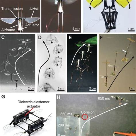 miniature soft robots with aerial locomotion a lift‐off of a download scientific diagram