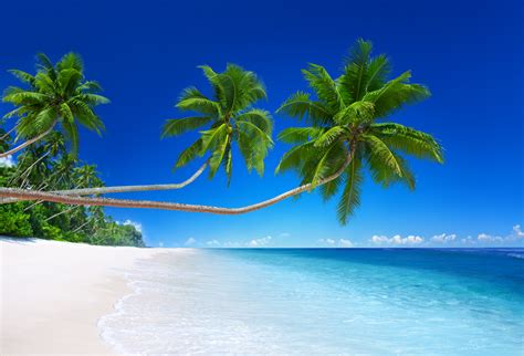 Beach Holidays 2026 2027 Kenwood Travel