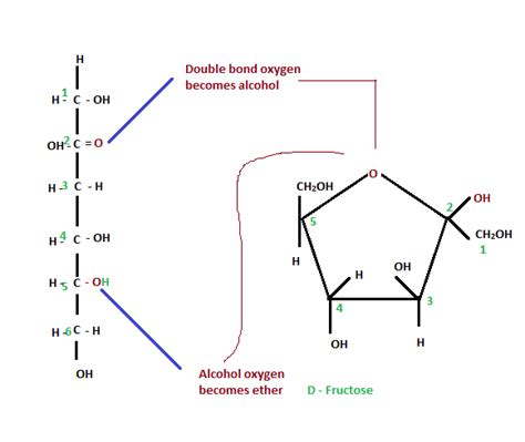 Fructose Structure Diagrams Ring Structure Properties Uses