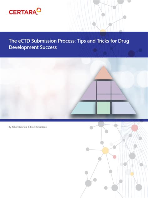 Wp The Ectd Submission Process Pdf Metadata Food And Drug Administration