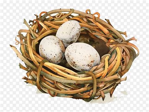 卡通鸟巢png图片素材下载图片编号7666287 Png素材网