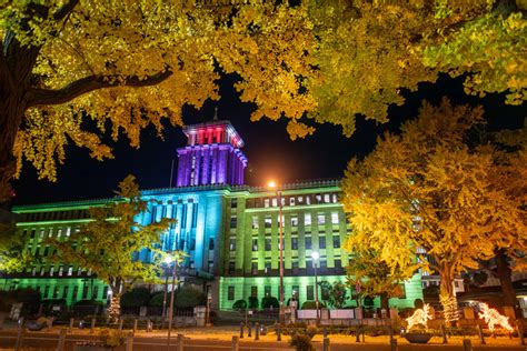 ヨルノヨ2023ホテルニューグランド前銀杏並木県庁3 うろ子とカメラⅡ