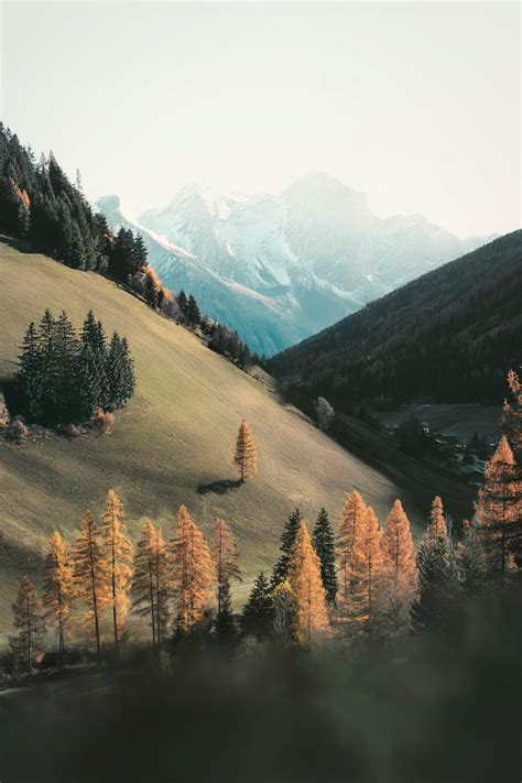 가을 가을 단풍 감자칩 경치 경치가 좋은 계절의 변화 고립된 고요한 골짜기 광야 그림 같은 깨끗한 공기