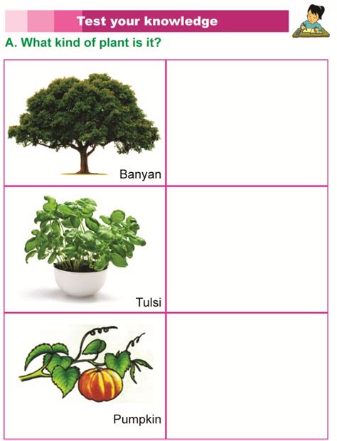 Free Plant Kingdom Worksheet Download Free Plant Kingdom Worksheet Png