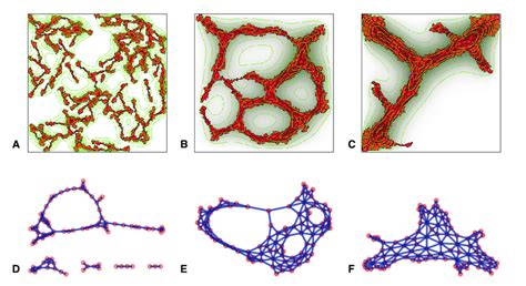 Snapshots From A Cellular Potts Simulation Of De Novo Formation Of A Download Scientific