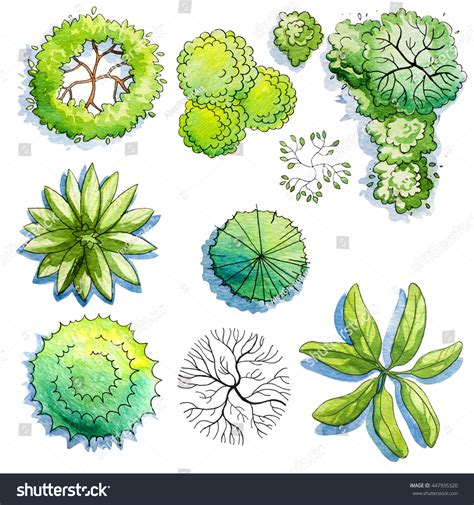 Set Watercolor Trees Top View Stock Illustration Shutterstock