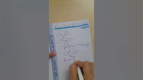 Easy Flowchart For Digestive System Digestion Biology Shorts Viral Education Short Youtube