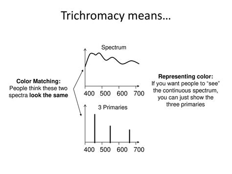 Lecture 8 Dynamic Range And Trichromacy Li Zhang Spring Ppt Download