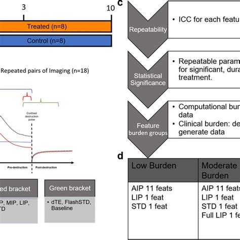 Aip Average Intensity Projection Mip Maximum Intensity Projection Dte Download Scientific