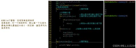 C语言学习day5：一维数组 Csdn博客