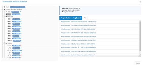 Data View Process Of Workflow Snapshot Appseconnect Product Docs