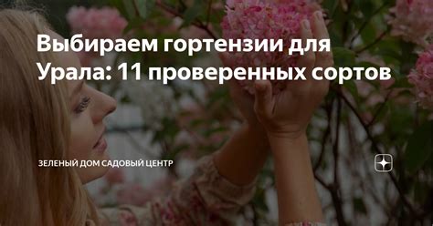 Выбираем гортензии для Урала 11 проверенных сортов Зеленый Дом Садовый центр Дзен