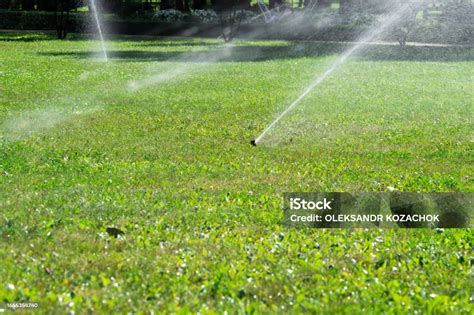 잔디 아래에 설치된 다양한 스프링클러가 있는 클로즈업 자동 정원 급수 시스템 잔디밭 언덕과 과일 정원이 있는 조경 디자인은 일몰 시간에 스마트 자율 분무기로 관개됩니다