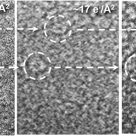 Evolution Of The Groel Sample In Liquid Cell As A Function Of Electron Download Scientific