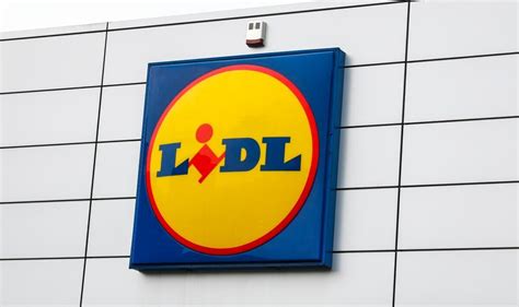 Lidls Christmas Pudding Beats High End Rivals In Taste Test Uk