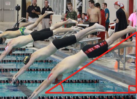 The Physics Of Swimming
