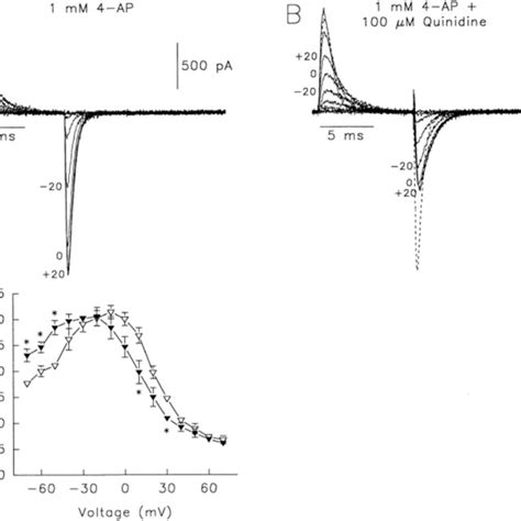 On And Off Gating Currents Igon And Igoff From Hkv15 During 12 Ms