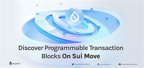 Discover Programmable Transaction Blocks On Sui Move