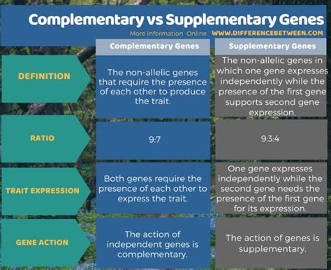 Difference Between Complementary And Supplementary Genes Compare The Difference Between