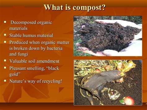 Composting Definition