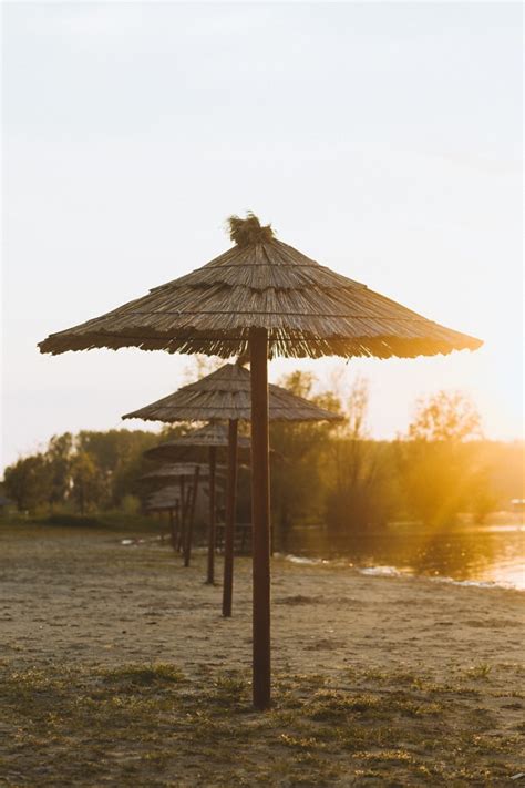 무료 사진 밝은 일광 비치 양산 열 대 모래 여름 태양