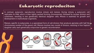 Prokaryotic Vs Eukaryotic Organisms Characterization And Comparison Pptx