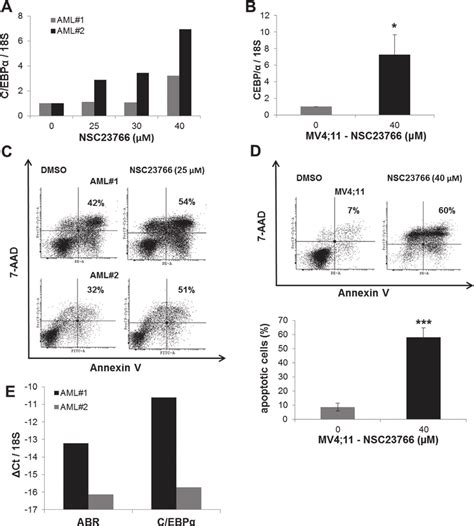 Rac1 Inhibitor Induced C Ebpα Expression In Aml Primary Cells A B Download Scientific