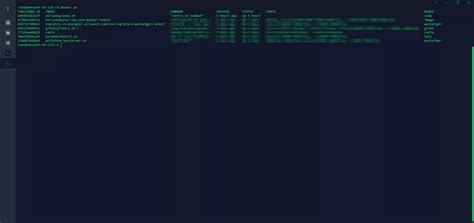 Docker系列：docker部署acmesh，泛域名证书申请与自动续签的完整攻略 羲阳博客iron Han Han