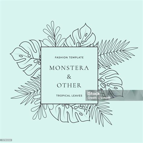 몬스테라 트로피컬 나뭇잎 패션 사인 엠블럼 템플릿 사각형 테두리와 고급스러운 타이포그래피가 있는 추상 단풍 결혼식 또는 파티 초대장 등에 적합 격리 떠남에 대한 스톡 벡터