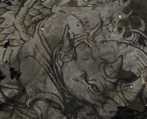 Ajo John Doe December 1 2020 Unidentified Wiki Fandom