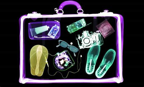 Neural Object Video Analysis For Object Detection And Counting