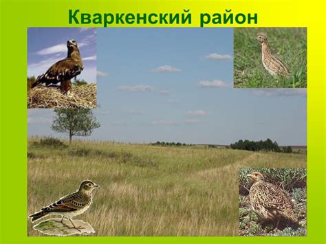 Презентация Решение задач на движение 4 класс по физике скачать проект