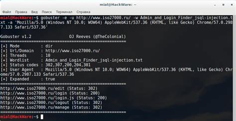 Gobuster Инструменты Kali Linux