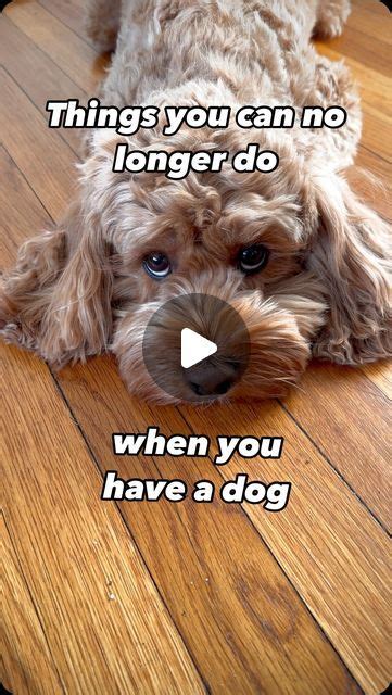 Hugo Le Beau And Catherine Gogel On Instagram And Its All Worth It 🐾