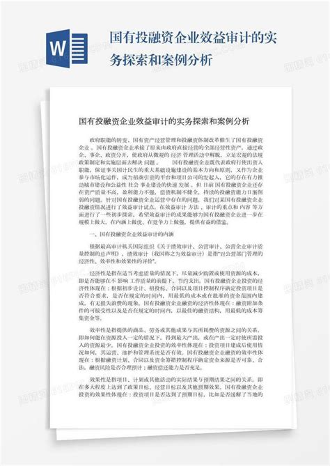 国有投融资企业效益审计的实务探索和案例分析word模板免费下载编号vgkanxj8m图精灵