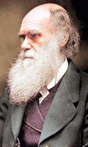 Made Up In Britain Charles Darwin Origin Of Species 1859