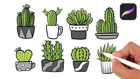 How To Draw Cactus Drawing Tutorials Youtube