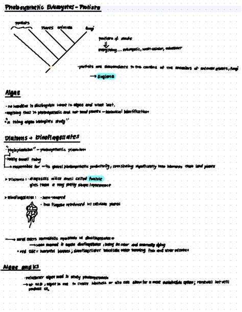 Lecture 17 Protists Simplified Notes On Protists Algae Diatomsdinoflagellates Seaweeds